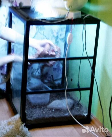 Террариум со всем необходимым
