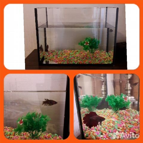 Аквариум