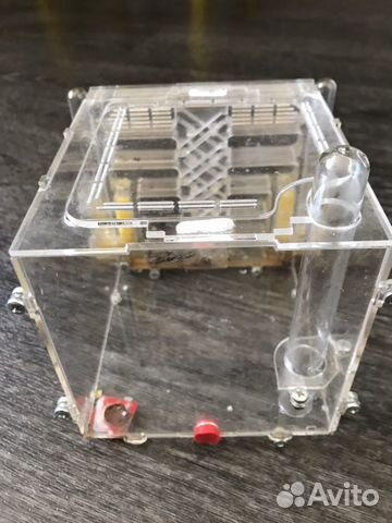 Формикарий