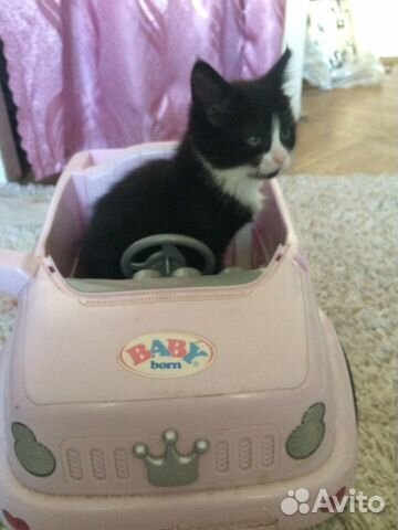 Счастье в подарок