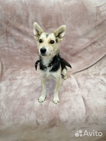 Крошка Анфиса 1 год 30 см