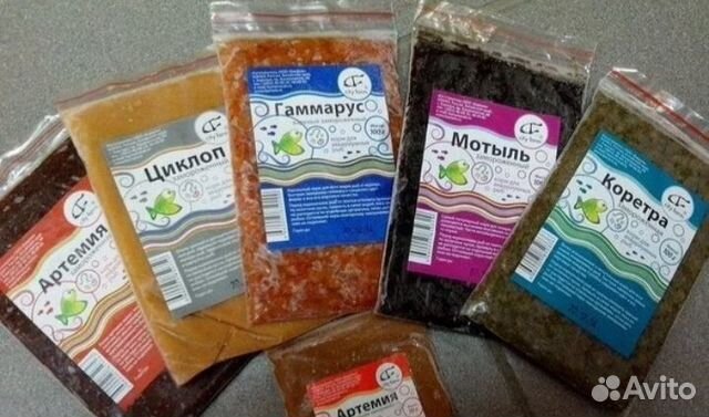 Мотыль замороженный