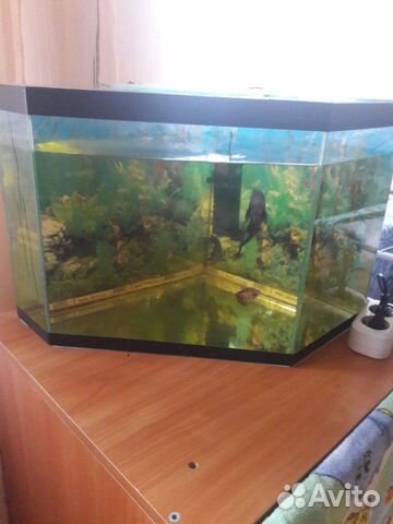 Аквариум 40л