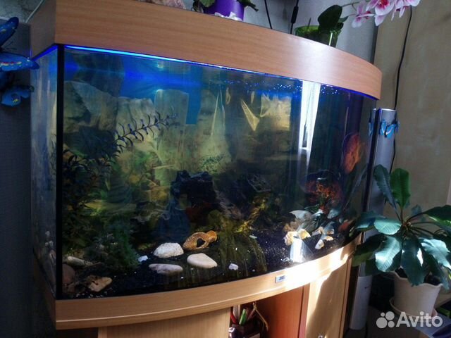 Аквариум