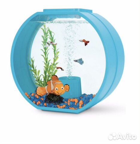 Аквариум disney nemo