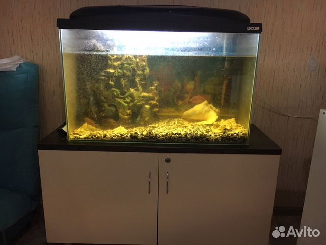 Аквариум с тумбой