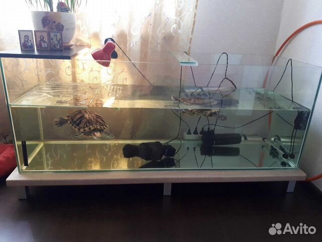 Аквариум с черепашками