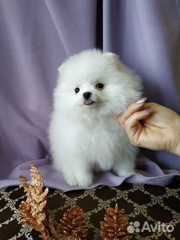 Снегурочка