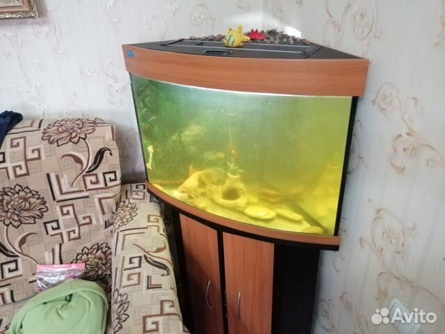 Аквариум
