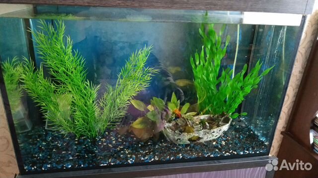 Продам аквариум 140л