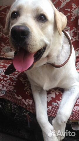 Молодой но горячий