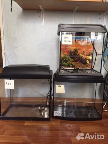 Аквариум
