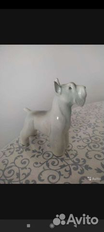 Цвергшнауцер