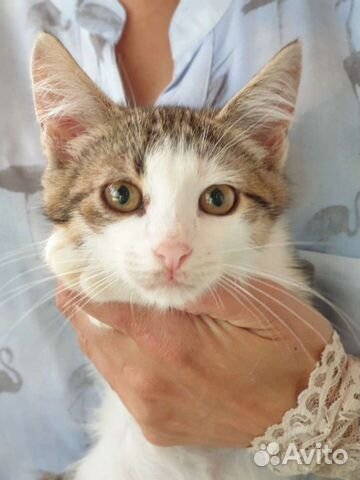 Я родился в коляске