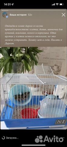 Хомяк с клеткой и всеми принадлежностями к клетке