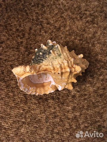 Декорации для аквариума