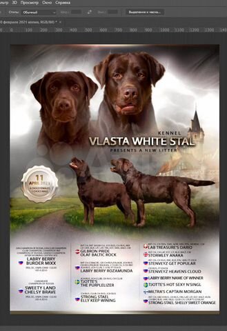 Предварительный резерв