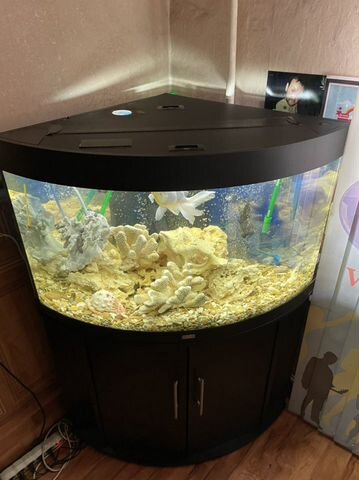 Аквариум понорамный jewell 190 литров