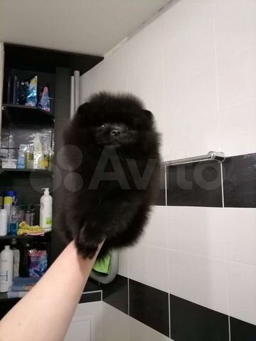 Мальчик Даниэл пом мишка