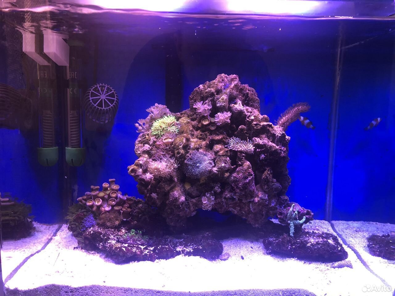 Морской мини аквариум