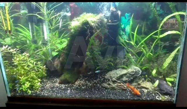 Аквариум с тумбой бу