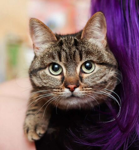 Стеша ищет добрую семью