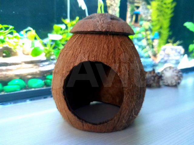 Декор для аквариума